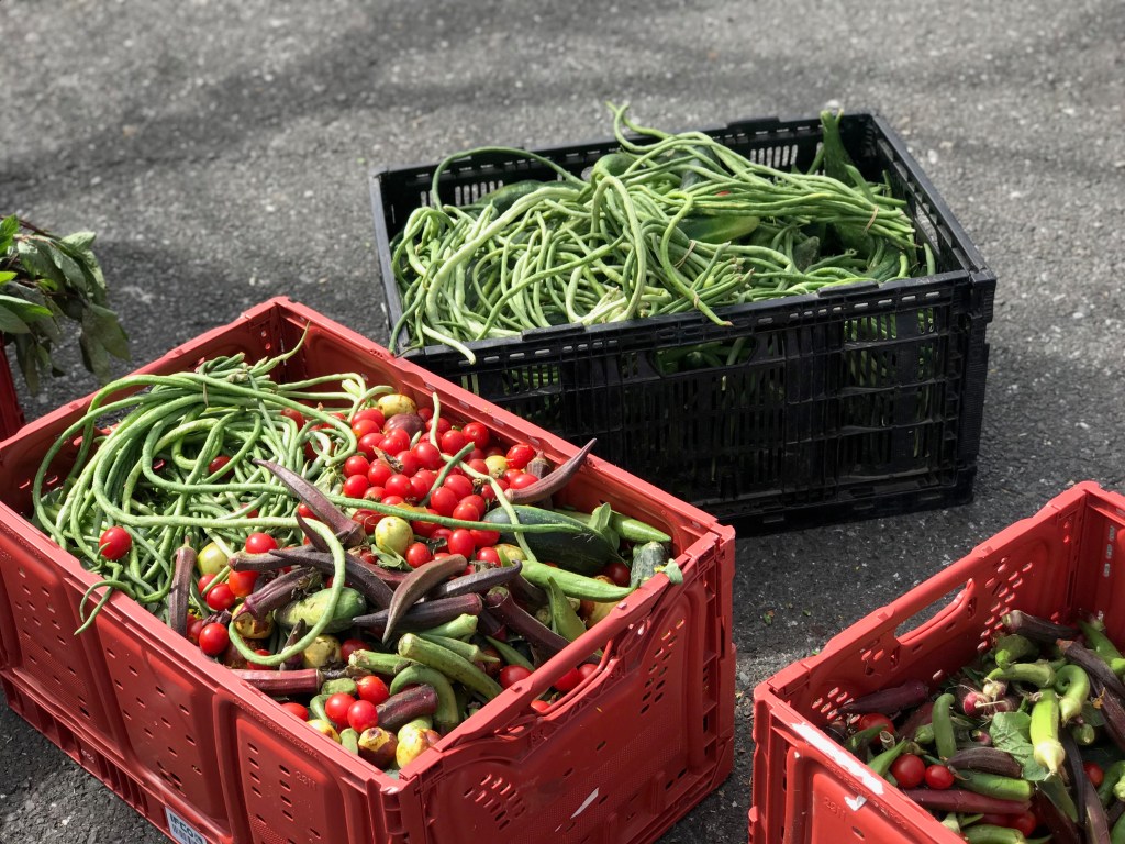 California Food Recovery Coalition – Elevating the voices of California ...